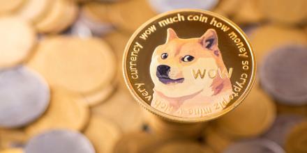 Dogecoin Kurucusu Olmak Varmış: Sadece Bu Yıl Havadan 780 Bin Dolar Kazandı!