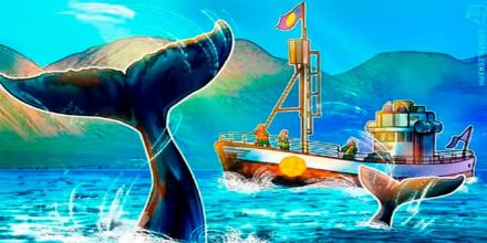 3 altcoins com alta bimestral de até 38.160% abocanhadas pelas baleias enquanto o Bitcoin tenta nova máxima histórica