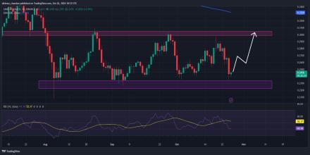 U.S. ADP Employment Report Shows 233,000 Jobs Added In October