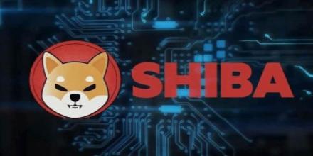 Сиба-ину (SHIB) продемонстрировала самый большой ценовой скачок