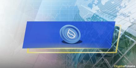 What Is Sui Network (SUI): The Ultimate Guide in 2024