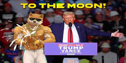 Politicile favorabile crypto ale lui Trump declanșează o creștere a pieței: Cele mai bune altcoin-uri în care să investești