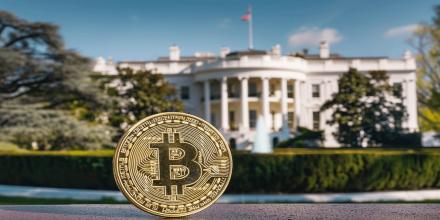 Trump rozważa dodanie „sekretarza ds. krypto” do swojego gabinetu. Trwa przegląd kandydatów