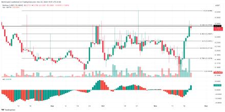 Bu Altcoin’ler Neden Bugün Popüler? — 22 Kasım