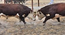 Why the Binance Crypto Card is Bullish for Bitcoin (BTC) and BNB