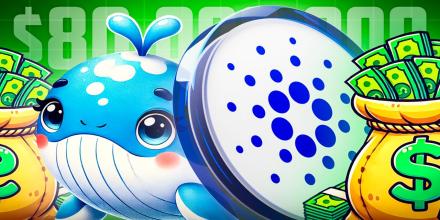 Krypto News: 80 Mio. in 48 Stunden! Cardano Wale im Kaufrausch – neues Allzeithoch noch im Dezember?