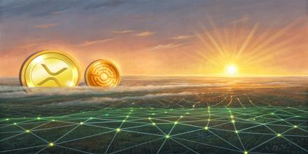 XRP doświadcza znacznej akumulacji, podczas gdy Minotaurus nabiera rozpędu