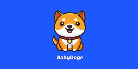 ベイビードージコイン(BabyDoge)とは?将来性・リスク・買い方を解説
