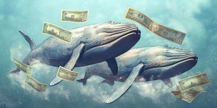 Kripto Balinaları Kaçıyor Mu? Hangi Coinlere Yöneliş Var?