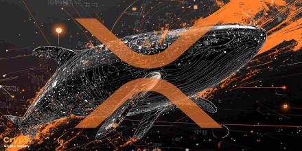 Wieloryby znów skupują XRP, a kurs kryptowaluty zmniejsza dystans od swojego ATH