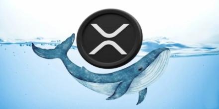 XRP стремительно растет: активность китов и слухи об ETF