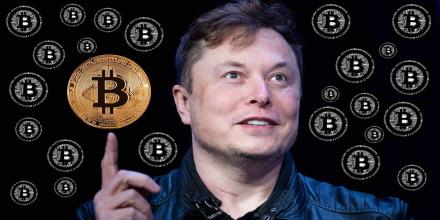 Elon Musk da Yorumladı: Bitcoin Destekçisine Af Gelecek mi?