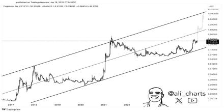 Meme coin sektöründe politiFi tokenlar güçleniyor: TRUMP ve DOGE coin için sırada ne var?