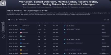 Bu 6 Altcoin Tehlikede! Balinalar Satıyor, Büyük Çöküş Kapıda mı?