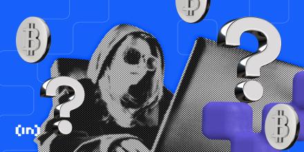 Fast 10 Mrd. USD durch Krypto-Betrug: So erbeuteten Scammer 2024 ein Vermögen