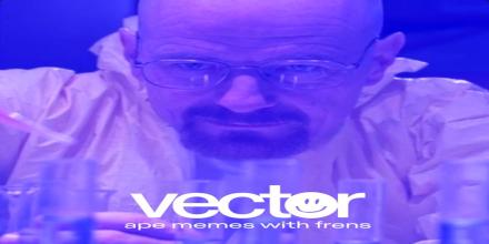코인 트레이더라면 텐서(TNSR)의 소셜 트레이딩 앱 ‘벡터(Vector.fun)’를 써보자, 1.5.0 업데이트 및 사용법