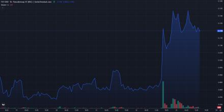 Binance Kurucusu CZ’nin İlk DEX İşlemi TST Meme Coin’inde %50’lik Ralli Başlattı
