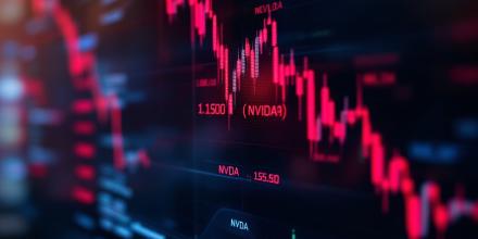 엔비디아(NVDA), 예상 초과 실적에도 주가 하락… 투자 기대감 반영