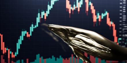 Balinaların 10 Altcoin Listesi Belli Oldu: Daha İyi Performans Gösterebilirler!