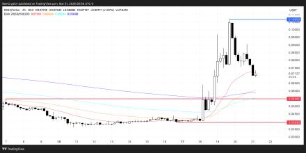 3月第3週のAIコイン・トップ3