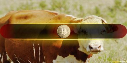 Current Bitcoin (BTC) Correction Fits Historical Mid-Cycle Reset Pattern Perfectly: Bitfinex