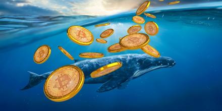 Balina Devasa Bitcoin Long Pozisyonu Açtı! Boğa Sezonu Mu Başlıyor?