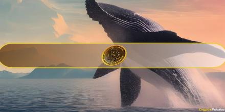 Small Fish in a Big Pond: How the Rich Can Shape Crypto’s Future
