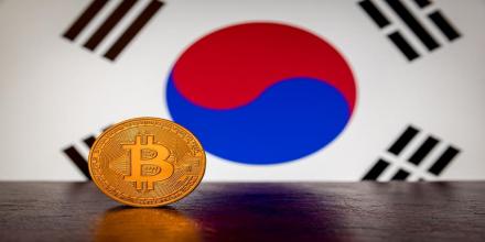 트럼프發 랠리에 국내 코인 시총 100조 돌파… 투자자 970만 명 시대