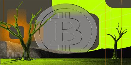Kenya’s Largest Slum Has Become a Thriving Bitcoin Economy