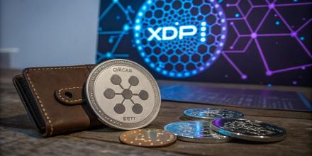 카르다노 창립자 호스킨슨, XRP 대규모 통합 예고…디파이·지갑·스테이블코인 협력
