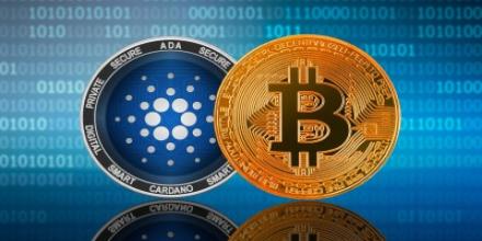 Сооснователь Solana назвал идею Cardano вложить $100 млн в биткоин «крайне глупой»