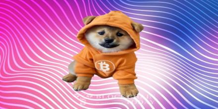 DOG (도그) 코인 가격 전망: 새로운 비트코인 레이어2가 비트코인 생태계 활성화할까