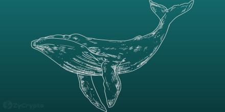 Justin Sun, Whales, Withdraw $1.7 Billion ETH From Aave, What’s Going On?