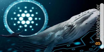 Kripto balinaları ADA’ya göz dikti: Cardano’daki gizemli transfer dalgası ne anlama geliyor?