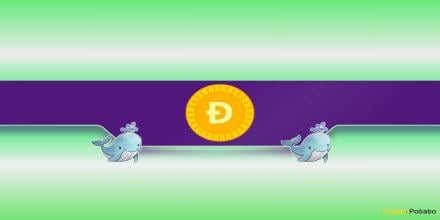 Whale Alert: 130M DOGE Scooped Up as Price Slides 15%
