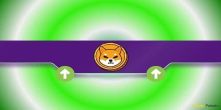 Shiba Inu (SHIB) Eyes 156% Rally as Governance Tensions Mount