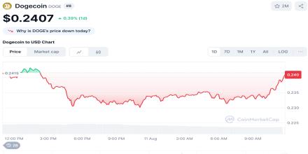 도지코인, ETF 기대감·고래 매수세에 0.24달러…”2달러 간다”