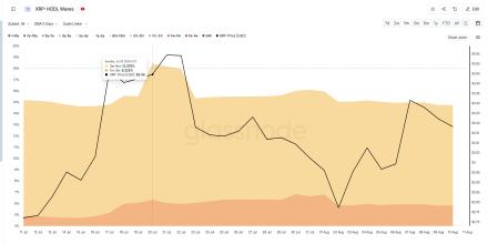 XRP価格、10%上昇も利益確定売りに直面―今後の動向は