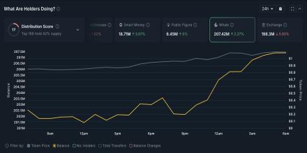 FARTCOIN、24時間で26%上昇=取引量650億ドル超