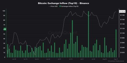 ビットコイン、クジラがバイナンスに集結―価格下落の背景は|週刊クジラウォッチ