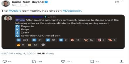 Dogecoin может стать новой жертвой атаки 51% пула Quibic