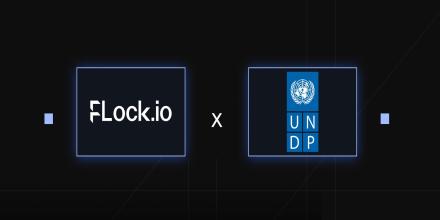 플록(FLock.io), 유엔개발계획(UNDP)과 파트너십… ‘SDG 블록체인 액셀러레이터’ AI 멘토로 참여