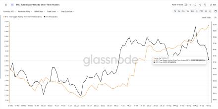단기 보유자, 비트코인 반등 예상?…공격적 매수 신호