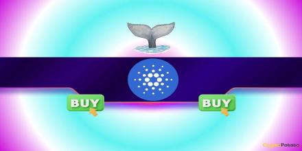 100,000,000 ADA Snapped Up by Whales in 24H: What’s Next for Cardano’s Price?