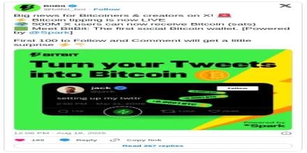 Resumen cripto de la semana: Propinas en Bitcoin llegan a X, stablecoin de MetaMask, y más…