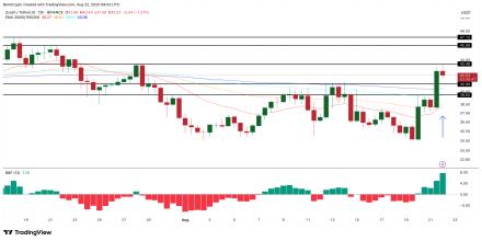 [이번 주말 주목할 만한 알트코인] ZEC, LINK, TON