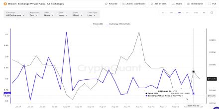 クジラ指標が示すビットコインの新たな価格動向