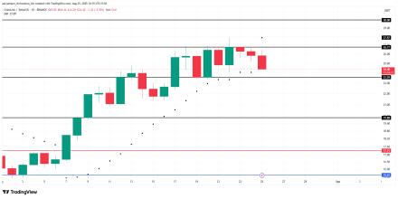 [이주에 주목할 만한 알트코인] LINK, ADA, CRV