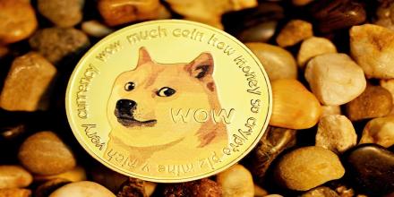 Ballenas de Dogecoin acumulan en plena corrección del mercado, ¿señal alcista?