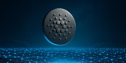 Investigators find no fraud in Cardano’s decade-old voucher initiative in forensic report